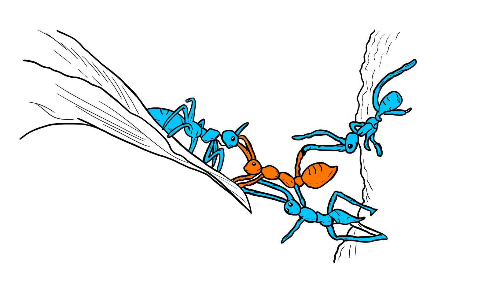 Ant colony optimization for beginners